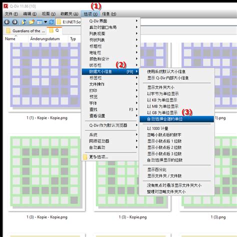 我可以在文件资源管理器中自动显示文件大小（以 Mb、kb 或字节为单位）吗？