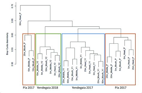hierarchical cluster dendrogram based on bray curtis dissimilarity