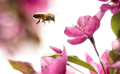 How Purpose Driven Business Models Are Driving The Next Era Of Growth
