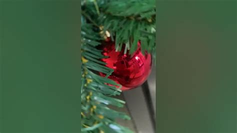 Весели коледни и новогодишни празници от Природонаучен музей Черни Осъм Youtube