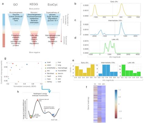 A K ­ Medoid Clustering Of Transcription Factors By Download