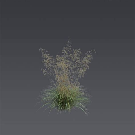 Tufted Hairgrass 3 The3dgarden Library For 3ds Max
