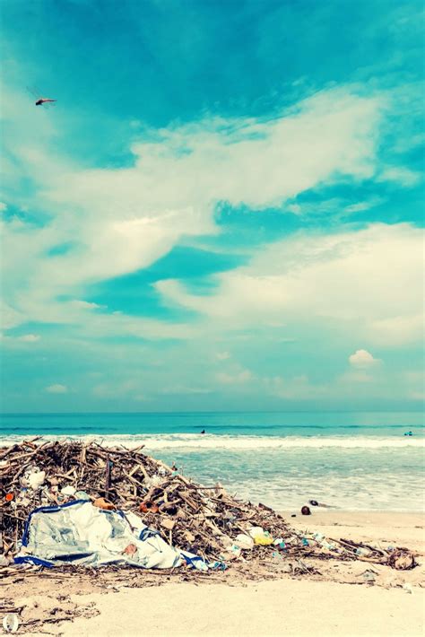 The First Ever International Zero Waste Day