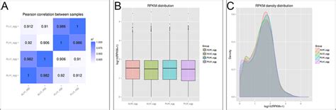 Bioinformatic Analyses Of Rna Seq Data A Pearson Correlation Between Download Scientific