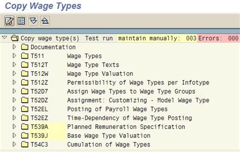 An SAP Consultant SAP HR Create Custom Wage Type