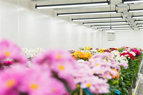 Priva Horticulture On Linkedin Did You Know That At Priva We Can Help