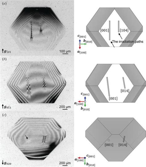 IUCr Radiation Induced Defects In Protein Crystals Observed By X Ray Topography