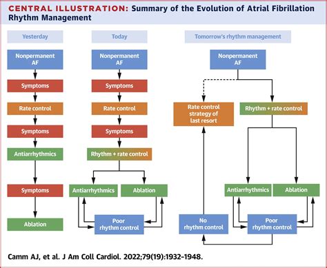 The Increasing Role Of Rhythm Control In Patients With Atrial