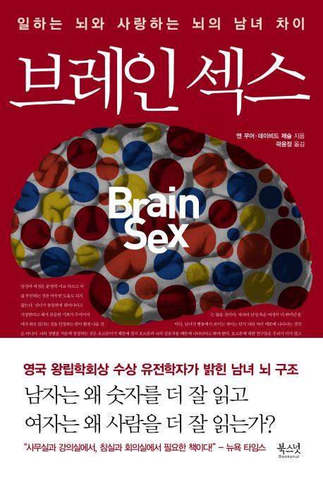 브레인 섹스 앤 무어 교보문고