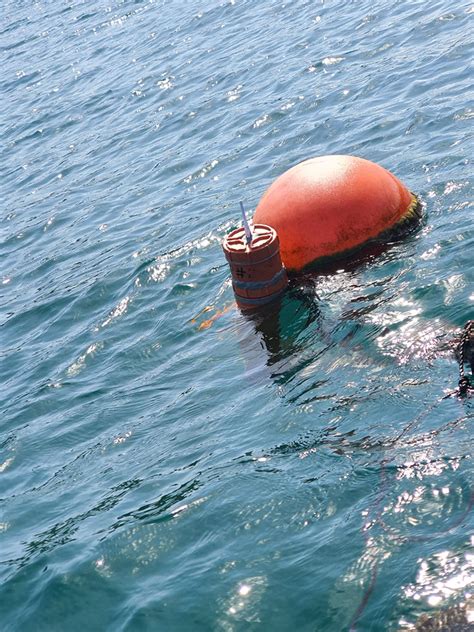 Operational Oceanography