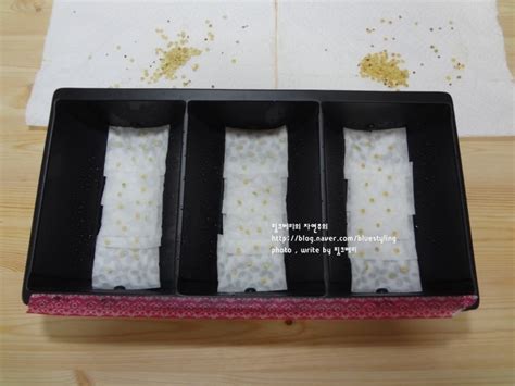 채소키우기 파프리카 키우기 빨강 노랑 파프리카 채종하고 파종하기~ 재활용 화분이용하기~ 네이버 블로그