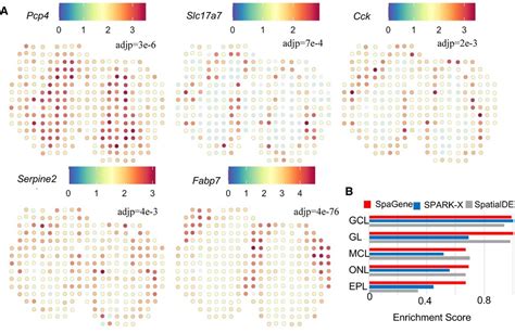 Scalable And Model Free Detection Of Spatial Patterns And Colocalization