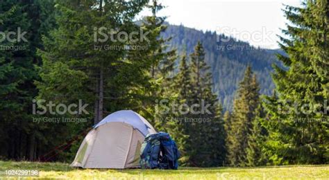카 르 파 티아 산맥의 숲에서 신선한 잔디 녹색 풀밭에 관광 캠프 하이킹 텐트와 캠핑 사이트에서 배낭 활동적인 생활 야외 활동 휴가 스포츠 및 휴양 개념 0명에 대한 스톡