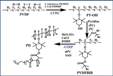 scheme 1 synthesis of pd graft copolymers by atrc and atrp download