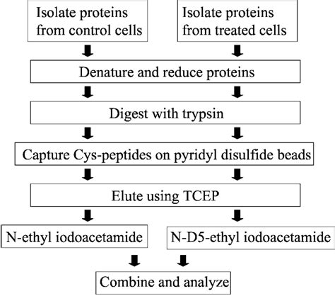 Isotope Coded Reduction Off Of A Chromatographic Support Sample