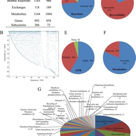 Flux Variability Analysis Fva To Show The Effect Of Streptomycin On Wt Download Table
