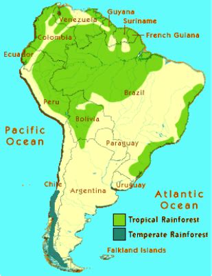 Meteorology And Geography Tropical Rainforests Of South America