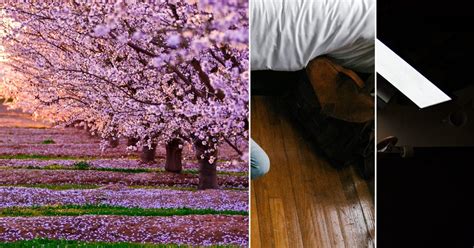 List Dsa For Data Engineering Curated By Pavan Medium