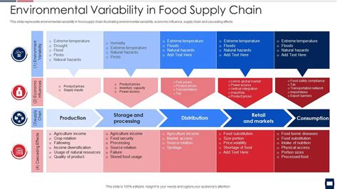 Supply Chain Variability At Jean Begaye Blog