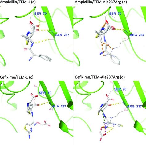 Binding Pose Metadynamics Results For Complexes With Ampicillin Left