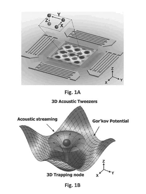 Three Dimensional Acoustic Manipulation Of Cells Eureka Patsnap