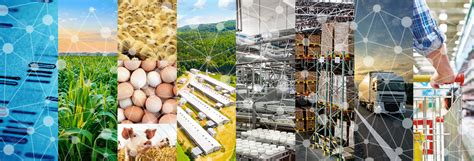 Scio On Linkedin Senior Software Engineer