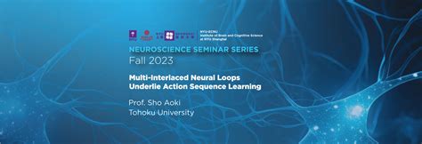 Multi Interlaced Neural Loops Underlie Action Sequence Learning
