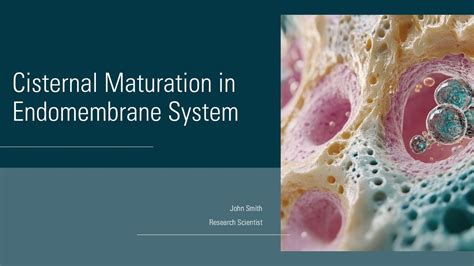 Cisternal Maturation In Endomembrane System Ppt Summary Acp