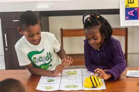 Learn The Frogs Life Cycle With Bee Bot Tinker Education