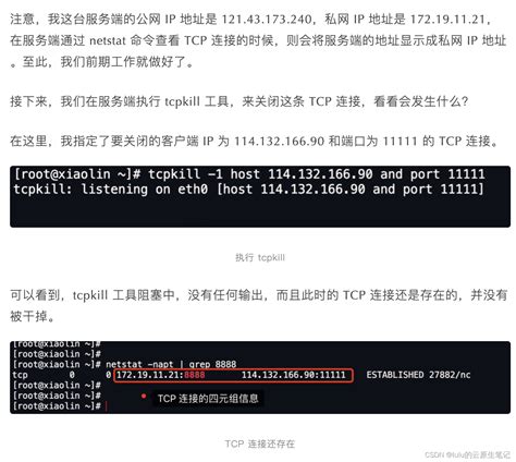 【博客613】tcp重置防火墙原理：构造rst报文来终结非法活跃连接 tcp 构建 rst报文 csdn博客
