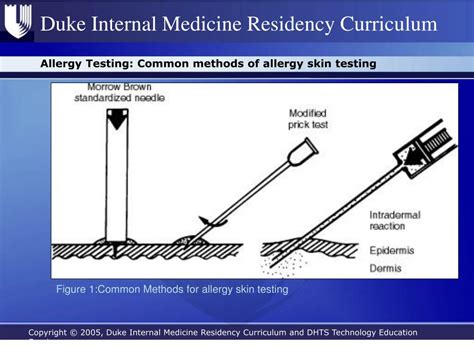 Ppt Overview Of Allergy Testing Powerpoint Presentation Free