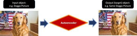 Hands On Time Series Anomaly Detection Using Autoencoders With Python Towards Data Science