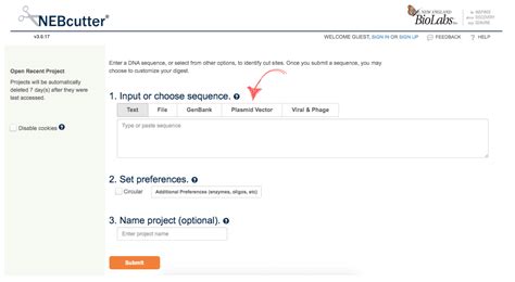 How To Generate And Read A Plasmid Restriction Map Genetic Education