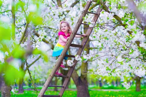 Tree Pollen Allergies What You Need To Know This Springtime