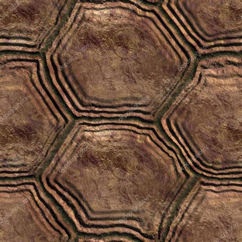 Turtle Shell Seamless Texture Stock Photo By Lucato 19579863