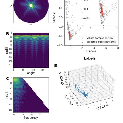 brief illustration of the absolute embedding neural network nn model