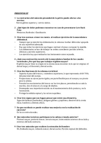 Todas Preguntas Juntas Pdf