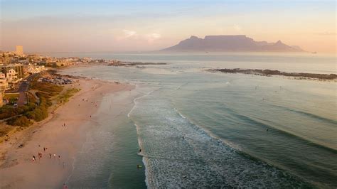 Deep Dive into South Africa | Acqua Travels