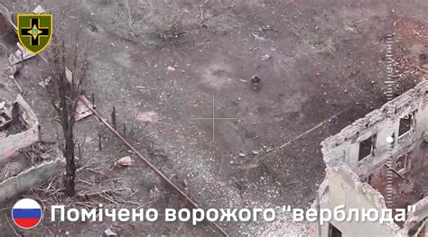 «Верблюди камікадзе нова тактика росіян на Торецькому напрямку