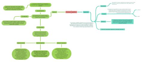 Procesos Cognitivos Coggle Diagram
