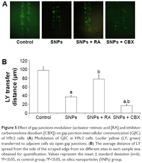 Inhibition Of Gap Junction Intercellular Communication Is Involved In Ijn