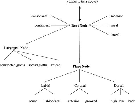 Structure Within The Segment Download Scientific Diagram