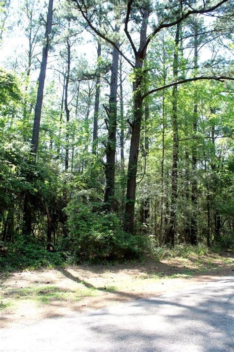 1090 Cedar Grove Rd Hemphill Tx 75948 Mls 207614