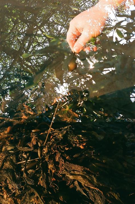 Photos — Ruby Mullen