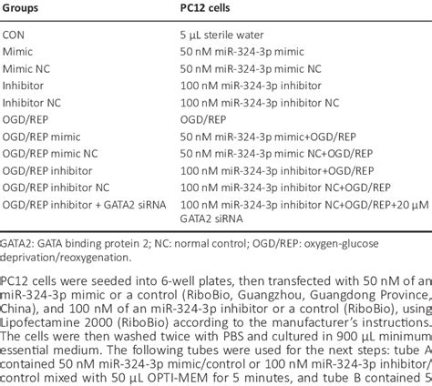 cell grouping in the in vitro experiment download scientific diagram