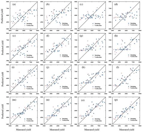 Relationships Between The Measured Winter Wheat Yield Kgha And The