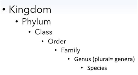 Insect Anatomy Flashcards Quizlet