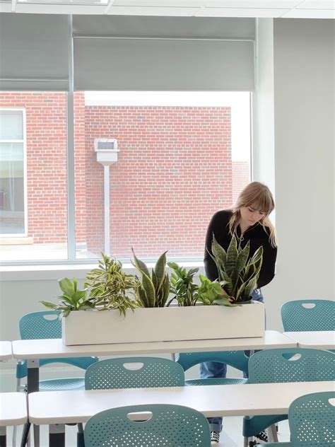 Interior Plant Services Plantify