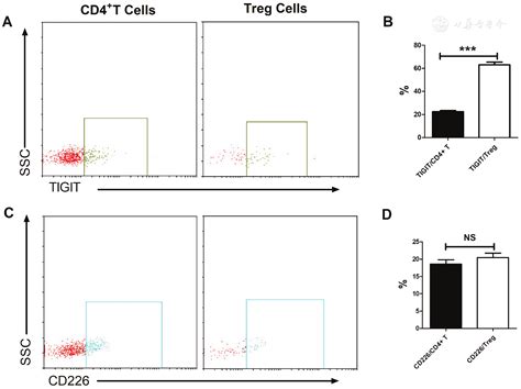 The Imbalance Of T Cell Immunoglobulin And Itim Domain And Cd226 On