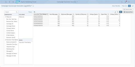 Sap Marketing Cloud Custom Defined Campaign Succ Sap Community